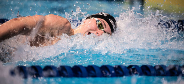 Rotterdam Round Up: Whittle and Evans on the Move | pullbuoy